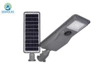 China All in One Led Solar Garden Light Waterproof Ip65 Outdoor with Motion Sensor for sale