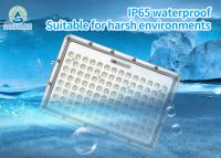 China Outdoor Battery Solar Powered Flood Light Security Garden for Stadium Farm for sale