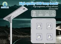 China Heavy Duty Integrated Solar Street Light, Rustproof Aluminum Body, IP65 Weatherproof, 3-5 Rainy Days Runtime for Roads Parking Lots Projects for sale