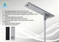 China Off-Grid Solar Street Light with Monocrystalline Panel & Lithium Battery, Auto Dusk to Dawn, Ideal for Farms Remote Villages Without Mains Power for sale