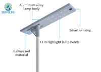 China Integrated Solar Street Light, Zero Carbon, Auto Dusk-to-Dawn Control, Aluminum Housing for Parks & Community Paths for sale