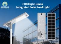 China Smart Microwave Induction Solar Street Light, High-Brightness COB LED Lamp with High Conversion Monocrystalline Solar Panel for sale