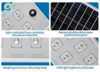 China Smart Microwave Induction Solar Street Light, High-Brightness COB LED Lamp with High Conversion Monocrystalline Solar Panel for sale