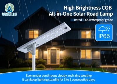 China Outdoor Solar Street Light  with High Conversion Monocrystalline Solar Panel, Auto On/Off Smart Lighting with Time & Light Control for sale