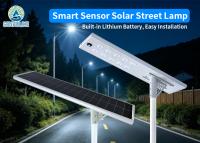 China Outdoor Solar Street Light  with High Conversion Monocrystalline Solar Panel, Auto On/Off Smart Lighting with Time & Light Control for sale