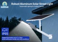 China High-Lumen Smart Solar Powered LED Street Light, Energy-Saving Microwave Induction Outdoor Lamp, Auto Dusk to Dawn Lighting for sale