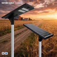 China Black 100W All-in-One Solar Street Lamp 2 Modules IP65 Waterproof Aluminum Built-in Lithium Battery for Garden Courtyard for sale