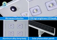 China 10 Eyes Integrated Solar Street Light, High Lumen COB LED IP65 Solar Road Lamp with Microwave Sensor for Rural & Residential Lighting for sale