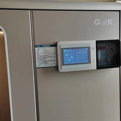 China 1 Minute 2 People Reverse Aging Hyperbaric Chamber Air High Pressure Oxygen Treatment for sale