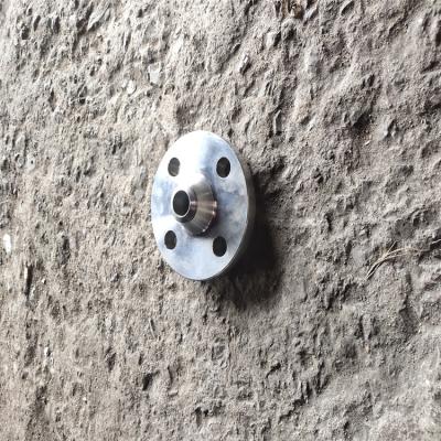 China Stainless Steel Long Weld Neck Pipe Flanges JIS GB DIN Standard Forged 150lbs for sale