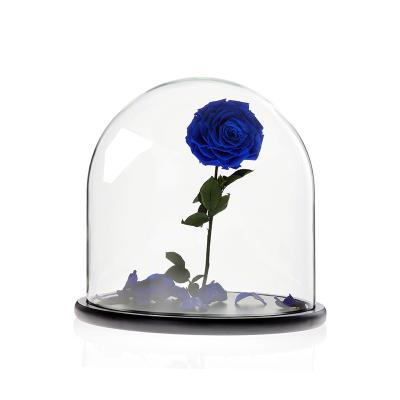 China Borosilicate Large Glass Dome With Base , 20cm Height Glass Bell Cloche for sale