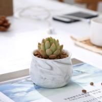 China Ceramic Nordic Flower Pot 6.6x7x5cm Durable Modern Indoor Plant Pot for Home Decoration for sale
