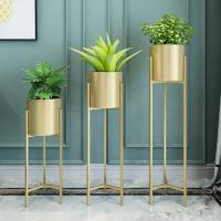China Black Gold Powder Coated Iron Flower Stand Modern Home Garden Decor 20cm Dia 60-80cm H for sale
