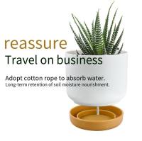 China Modern Self Watering Planter Pot for Home Decor for sale