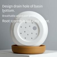 China Modern Self Watering Planter Pot for Home Decor for sale
