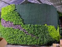 China Eco-Friendly Green Vertical Planter 60 Cells Indoor Outdoor Living Wall System for sale