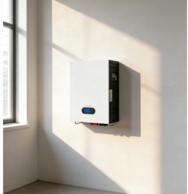 China CE Wall Mounted Battery Storage 4.8kWh 48V 100Ah Solar Batteries For Home Use for sale