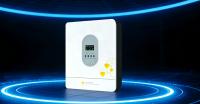 China MPPT Pure Sine Wave Invertor Off Grid 3KW Wall Mounted Home Energy Storage for sale