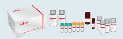 China KISSH ICC Test Cervical Cancer Screening P16 / Ki-67 Dual Staining Reagent for sale