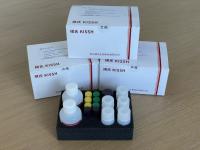 China High Specificity ICC IHC Staining Reagent Kit Keypath P16 / Ki-67 Immunoassay for sale