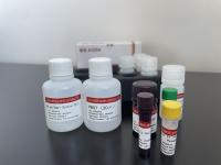 China Immunoassay IHC Detection Kit Keypath p16/Ki-67 Staining Reagent for Cervical Cancer Test High Specificity for sale