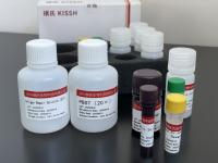 China IHC Keypath P16 / Ki-67 Dual Staining Immunoassay Test Kit Cervial Cancer Screening for sale