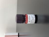China Keypath P16 Protein Marker ICC Immunoassay Test Kit Cervical Cancer Screening for sale