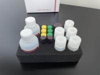 China Cervical Cancer Screening Reagent ICC Immunoassay Test Kit Staining Keypath P16 for sale