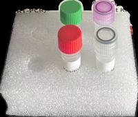 China CE Certificate Real Time PCR Test Kit For Monkeypox Virus Detection / MPXV for sale