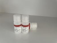 China Cervical Cancer Screening Staining Reagent , 50mL Pap Staining Kit for sale