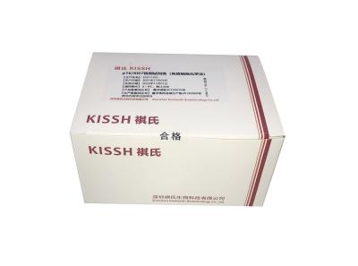 China KISSH IHC Detection Kit Keypath P16/Ki-67 Dual Staining Immunoassay Test Kit for sale