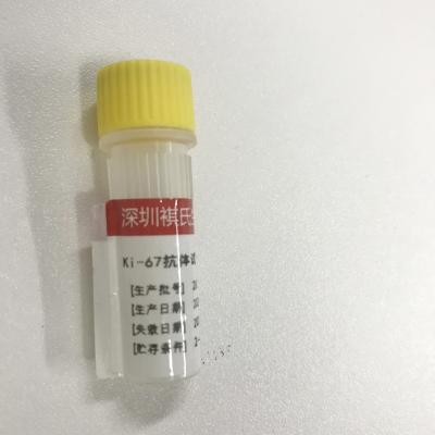 China KISSH Primary Antibody Products Ki-67 Immunoassay Antibody Test IHC 1.5mL 3.0mL for sale