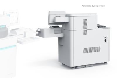 China Hospital In Vitro Diagnostic Equipment Autopath IHC ICC Symphony Staining for sale