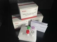 China PCR COVID 19 Nucleic Acid Test Kit At Home Qualitative Detection for sale