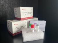China K901-32 1104μL×1Tube PCR Amplification Kit For Throat / Nasopharyngeal Swab Samples for sale