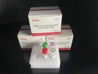 China K901-32 1104μL×1Tube PCR Amplification Kit For Throat / Nasopharyngeal Swab Samples for sale