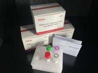 China Rapid Coronavirus Nucleic Acid Test Kit Real Time PCR With CE Mark Ct Value Equal To 40 for sale
