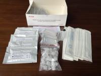 China Human Virus A & B CE Flu Rapid Test Kit Antigen Detect 3 Viruses At The Same Time for sale