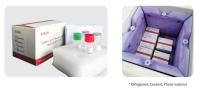 China Nucleic Acid COVID 19 Real Time PCR Test Kit SARS-CoV-2 Gene Amplification 32T for sale