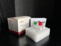 China SARS-CoV-2 PCR Test Nucleic Acid Test Kit RT-PCR 32 tests/box, 90 minutes for result for sale