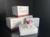 China SARS-CoV-2 RT PCR Test Kits Nucleic Acid Throat Swab Sample Fluorescence Channels for sale