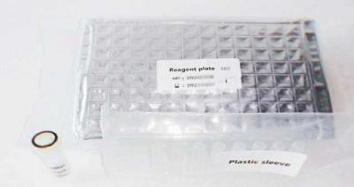 China Good Repeatability KISSH Automatic Nucleic Acid Extraction Kit Magnetic Bead Method for sale