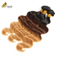 China 1B 4 27 Curly Ombre Virgin Hair Body Wave Extensions With Closure for sale