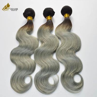 China Brazilian Ombre Human Hair Extensions Grey Color Virgin Human Bundles for sale