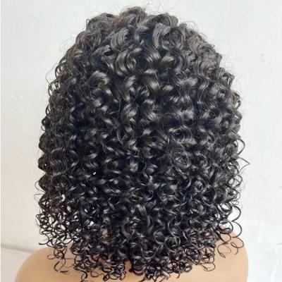 China Remy 100% 4*4 Human Hair Lace Wig Short Curl Natural Black Human Lace Front Wig for sale