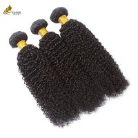 China Wholesale Kinky Curl 100% Natural Virgin Raw Vietnamese Human Hair Hair Bundles for sale