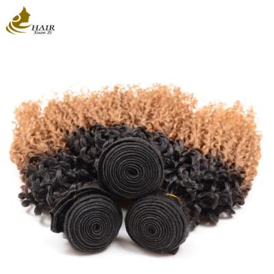 China 100% Unprocessed Virgin Hair 1b/27# Color Wholesale Brazilian Human Hair Bundles for sale
