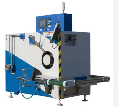 China PP Automatic Coil Winding Machine High Precision Motor Winding Machine for sale
