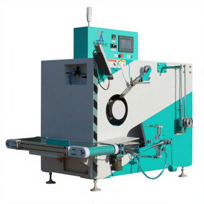 China PLC Controlled Automatic Coil Winding System 500mm Max Diameter 2kW Power for PP Electric Motor Production for sale