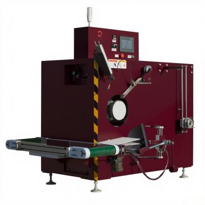 China PLC Controlled Automatic Coil Winding Machine for PP Electric Motors - 500mm Max Diameter, 2kW Power for sale